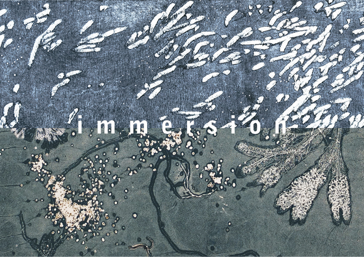 Exposition IMMERSION - Hélène Roux